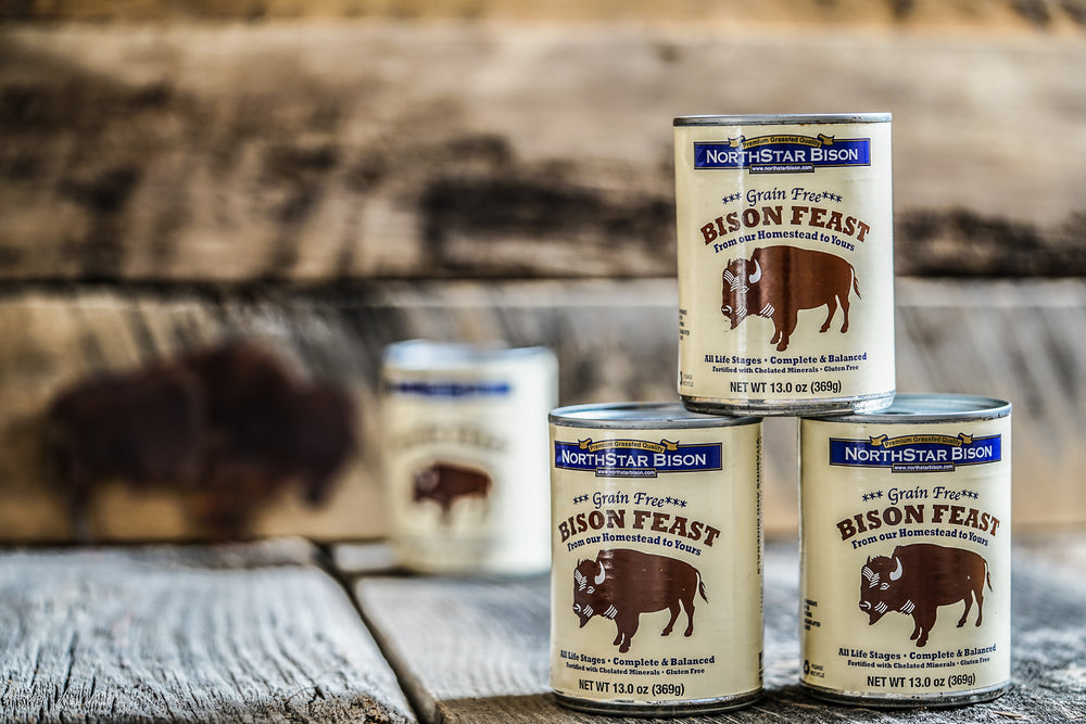 Bison Feast Canned Pet Food - Northstar Bison