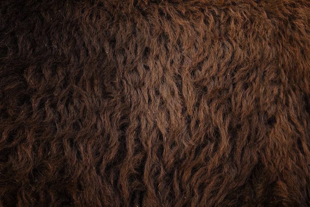 Hides - Northstar Bison