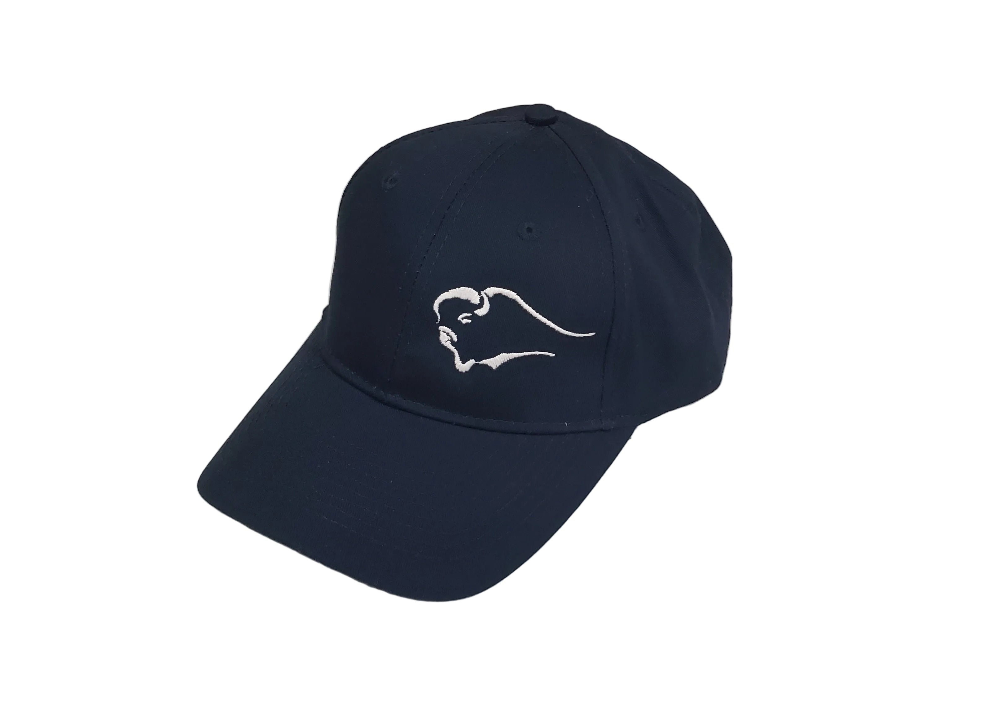 Ball Cap - NSB Swoosh – Northstar Bison