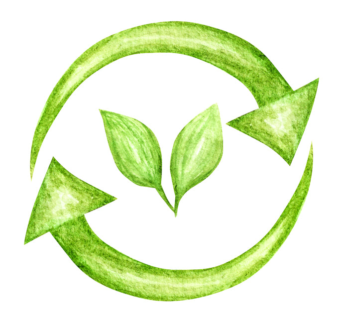 Nature Cooler – Northstar Bison