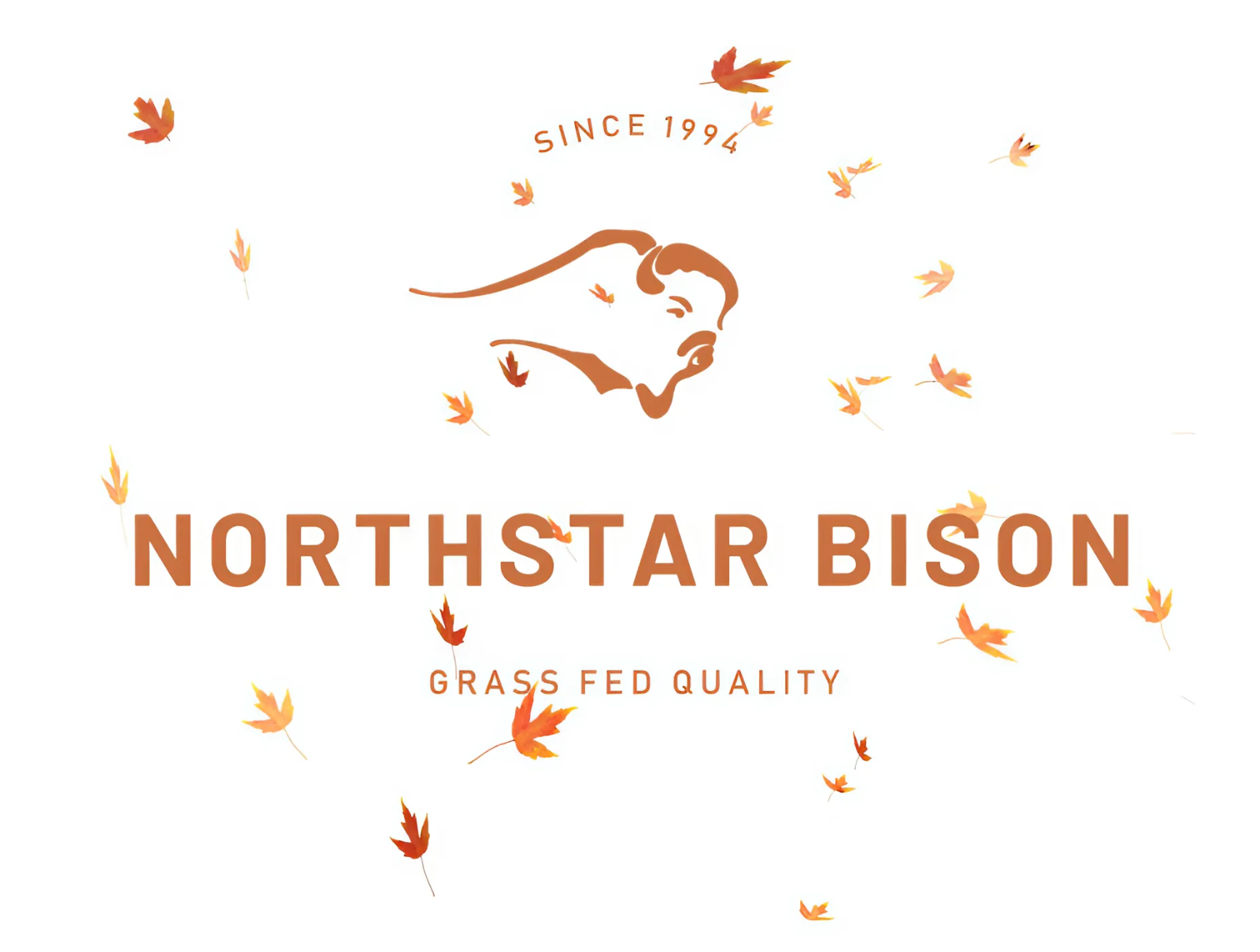 Northstar Bison | 100% Grass Fed & Finished, Field Harvested