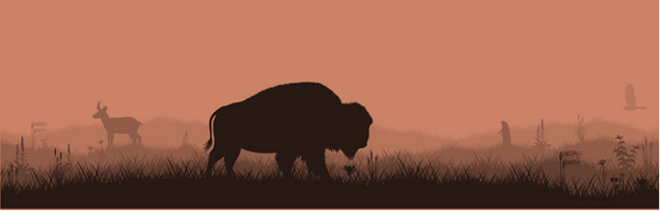 Northstar Bison | 100% Grass Fed & Finished, Field Harvested