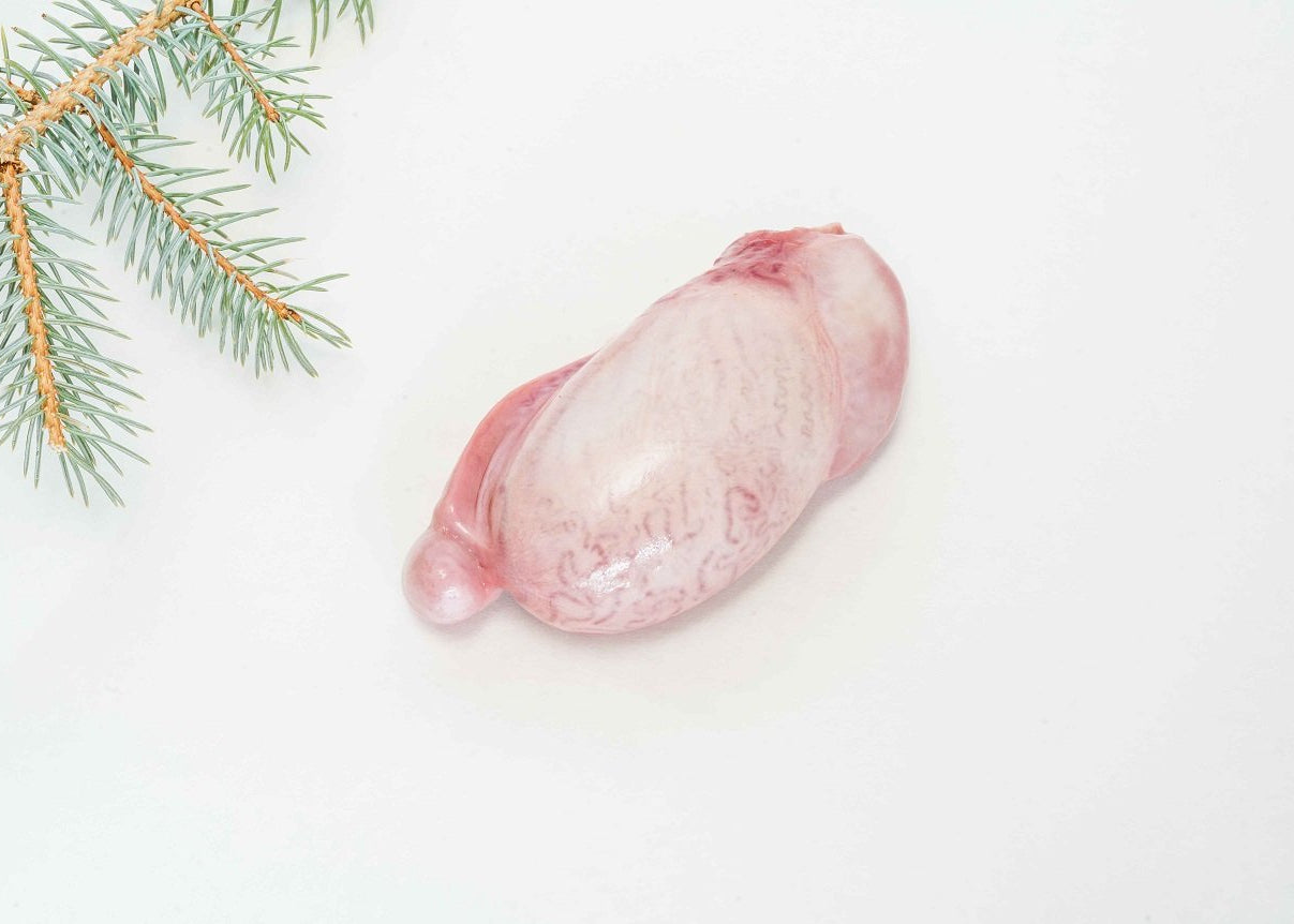 Bison Bull Fries {testicles} - Northstar Bison