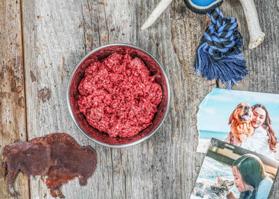 Northstar Bison | 100% Grass Fed & Finished, Field Harvested