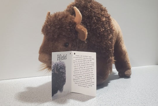Bison Stuffy - Northstar Bison